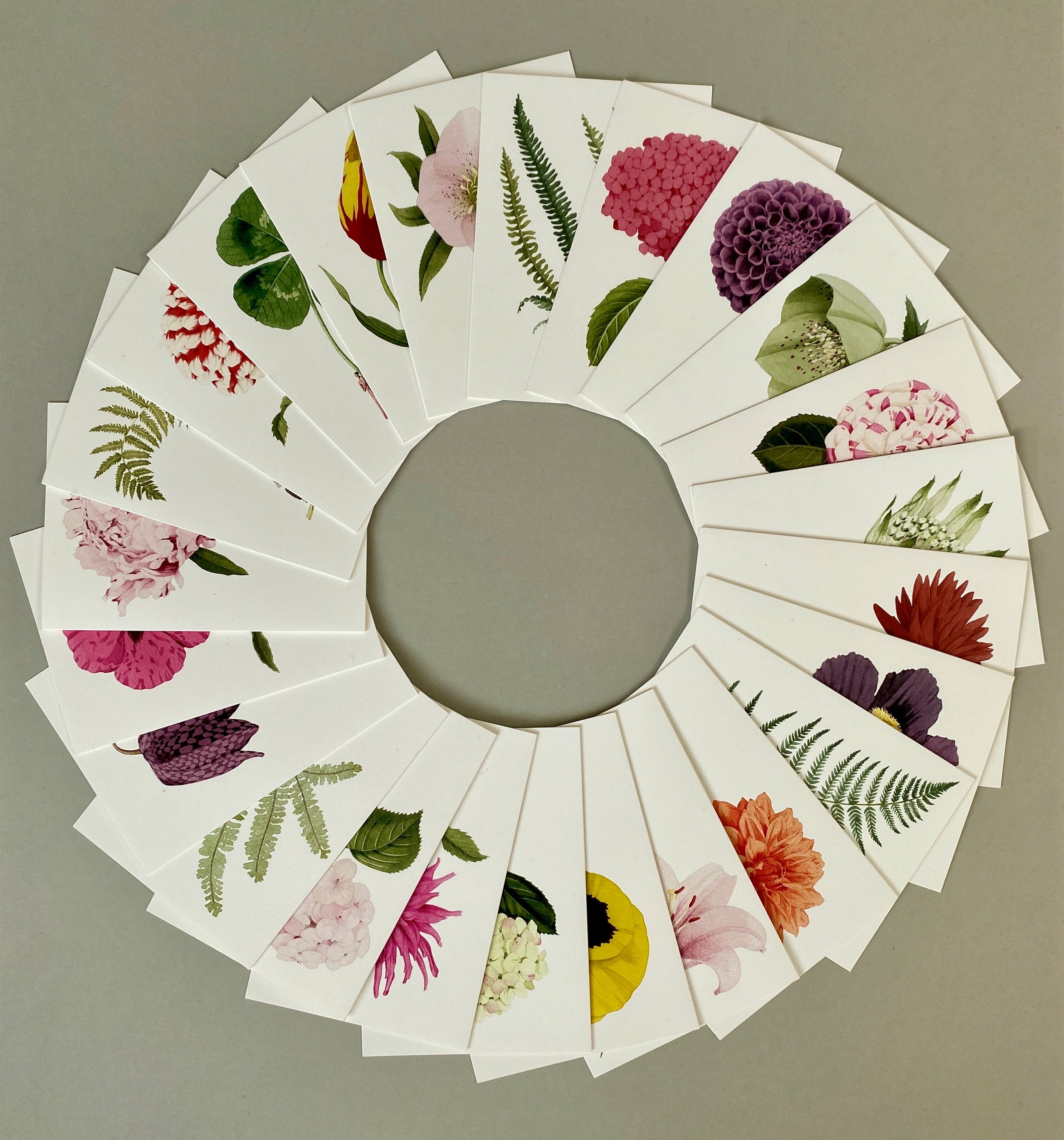 Laura Stoddart | Greeting Cards – Page 6 – Laura Stoddart Illustrator