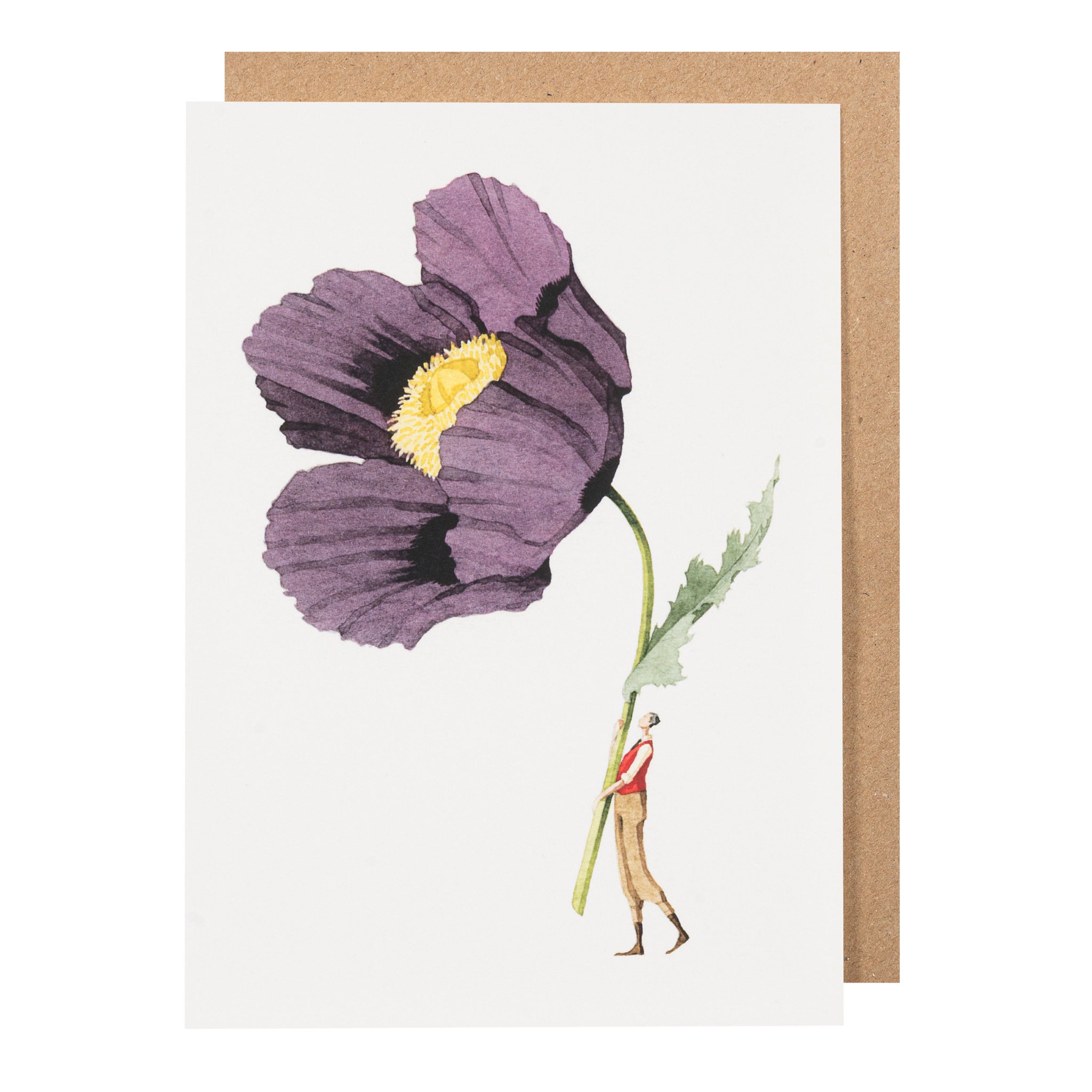 Poppy – Laura Stoddart Illustrator