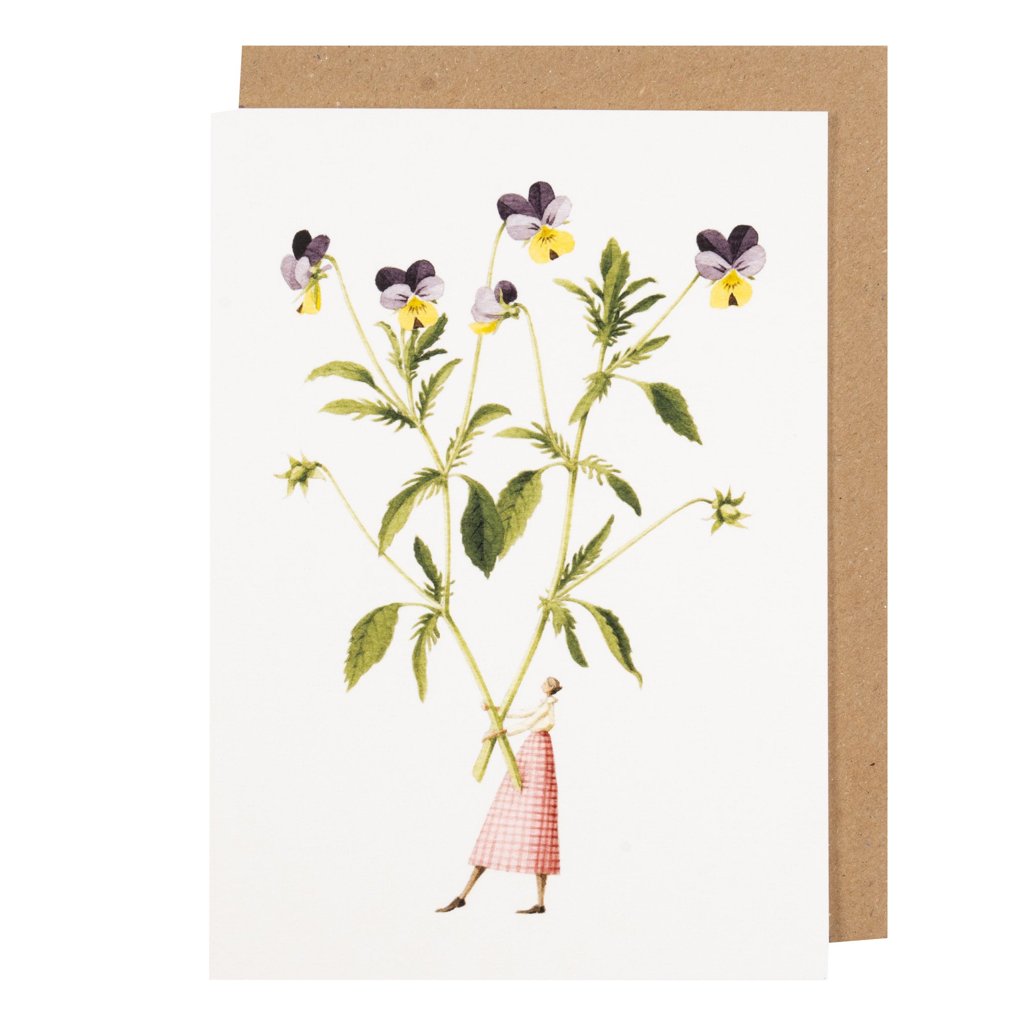 Spring Flowers - Viola – Laura Stoddart Illustrator