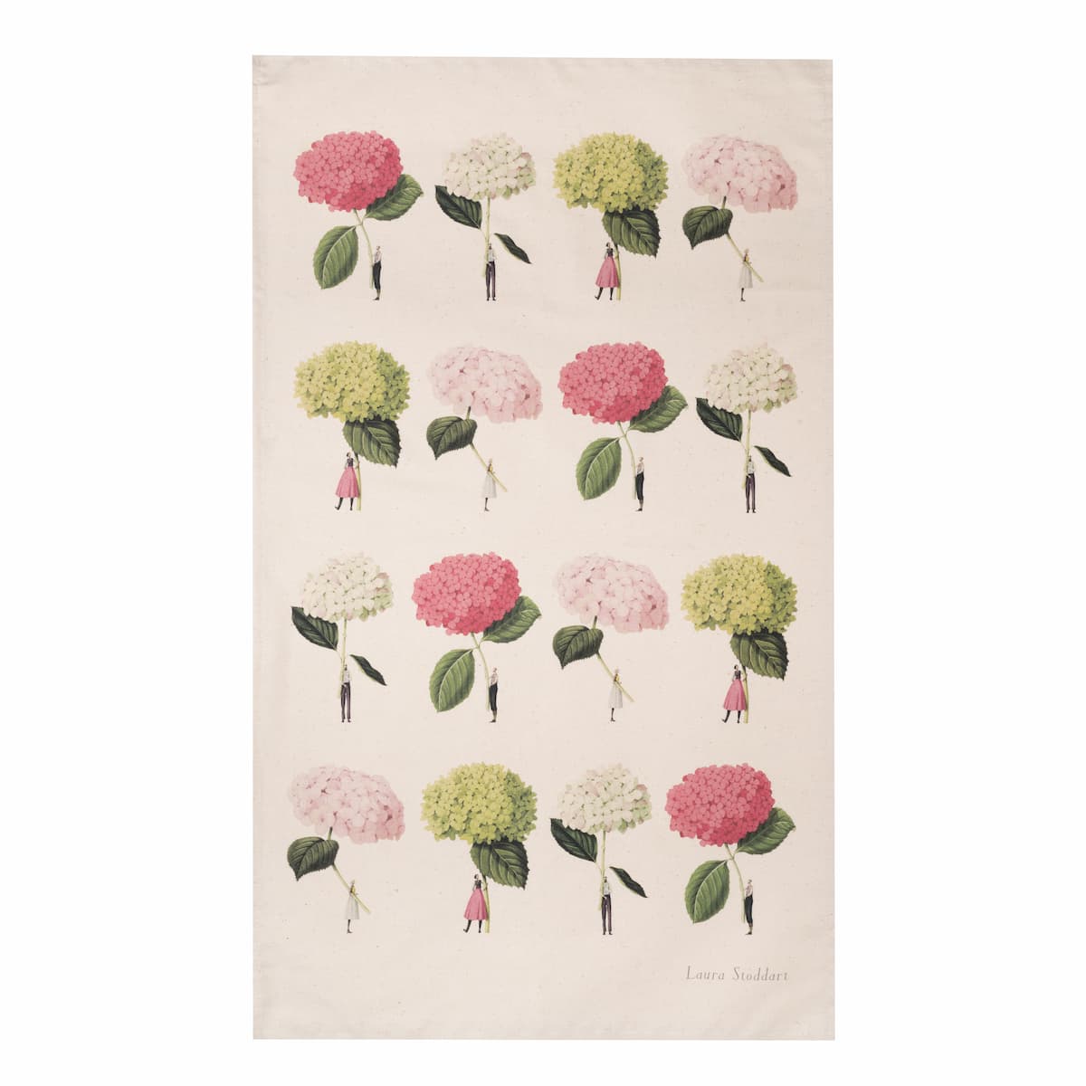 Hydrangeas – Laura Stoddart Illustrator