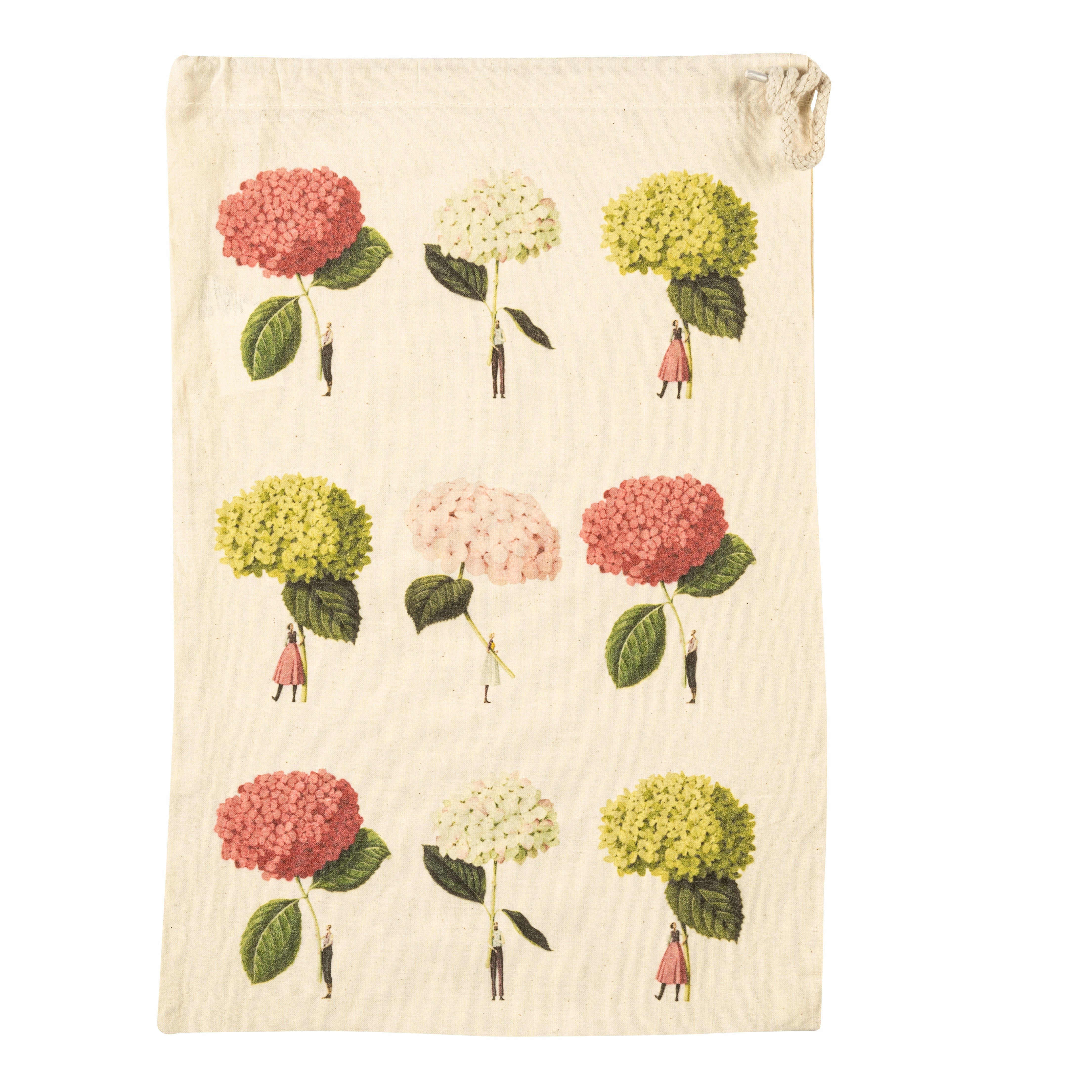 Hydrangeas - Multi – Laura Stoddart Illustrator