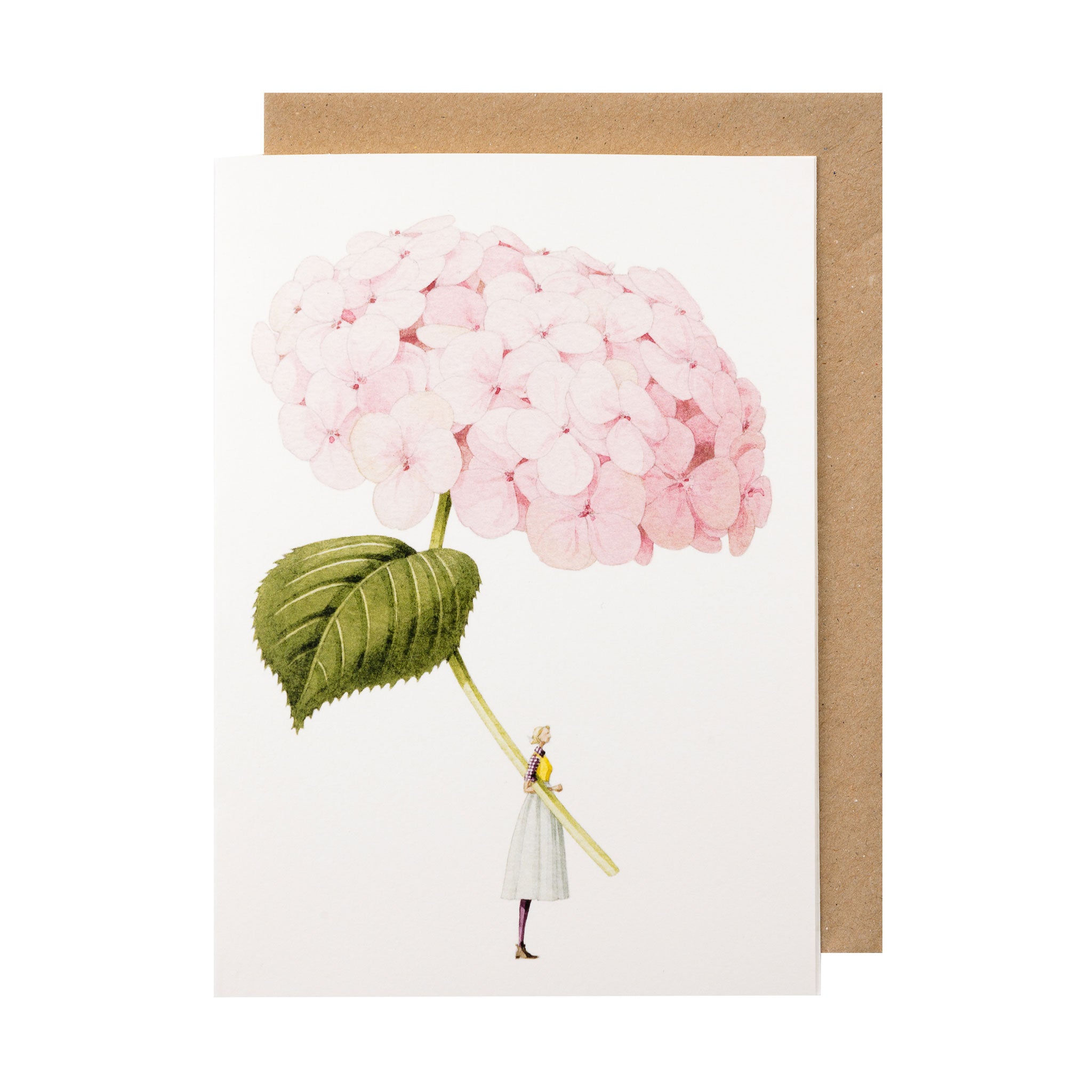 Pink - Hydrangea (pale) – Laura Stoddart Illustrator