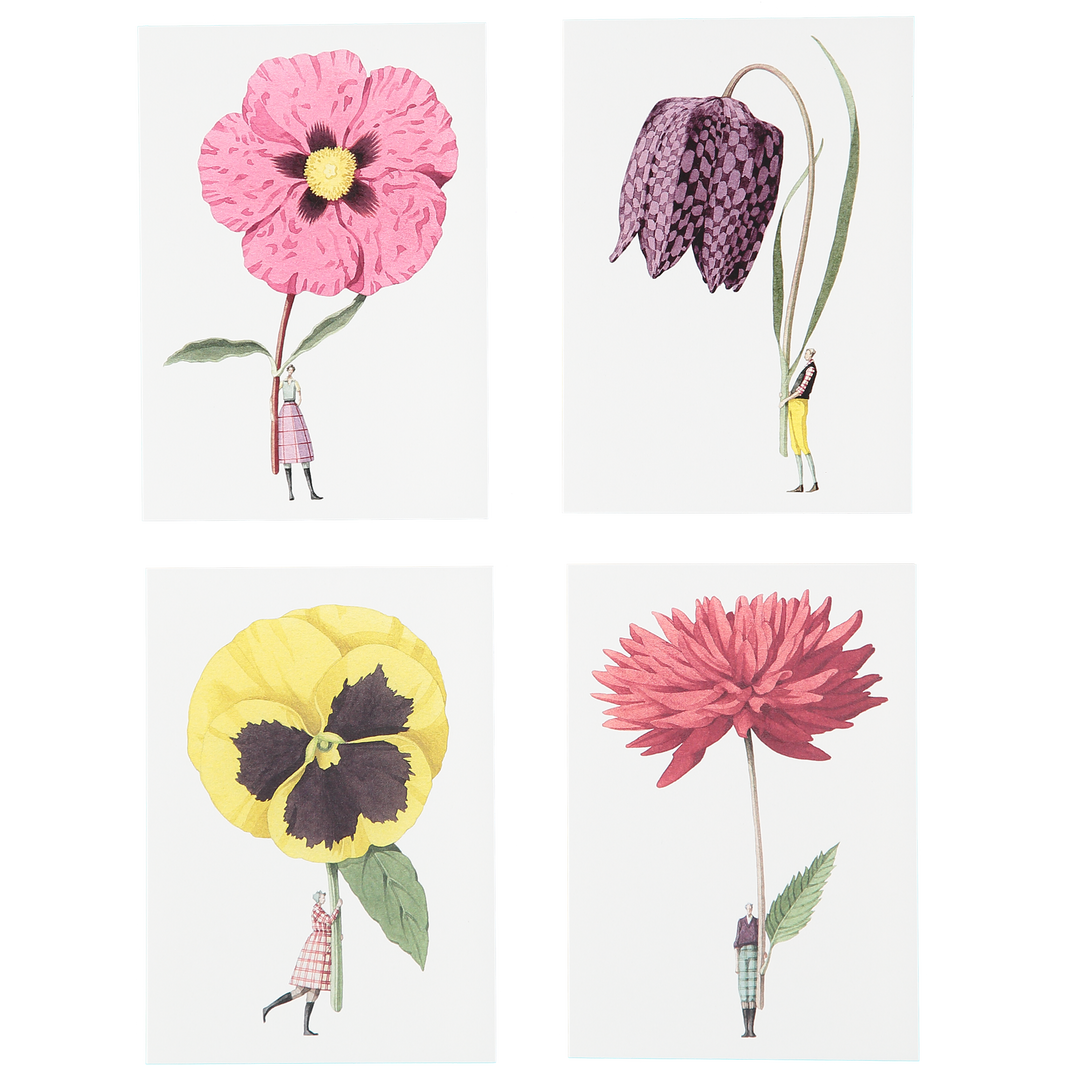 Laura Stoddart | In Bloom Collection – Laura Stoddart Illustrator