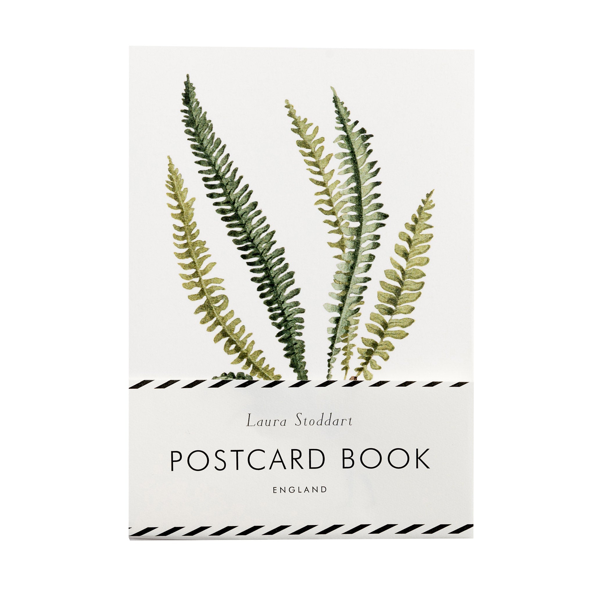 Green Flowers and Ferns Postcard Book – Laura Stoddart Illustrator